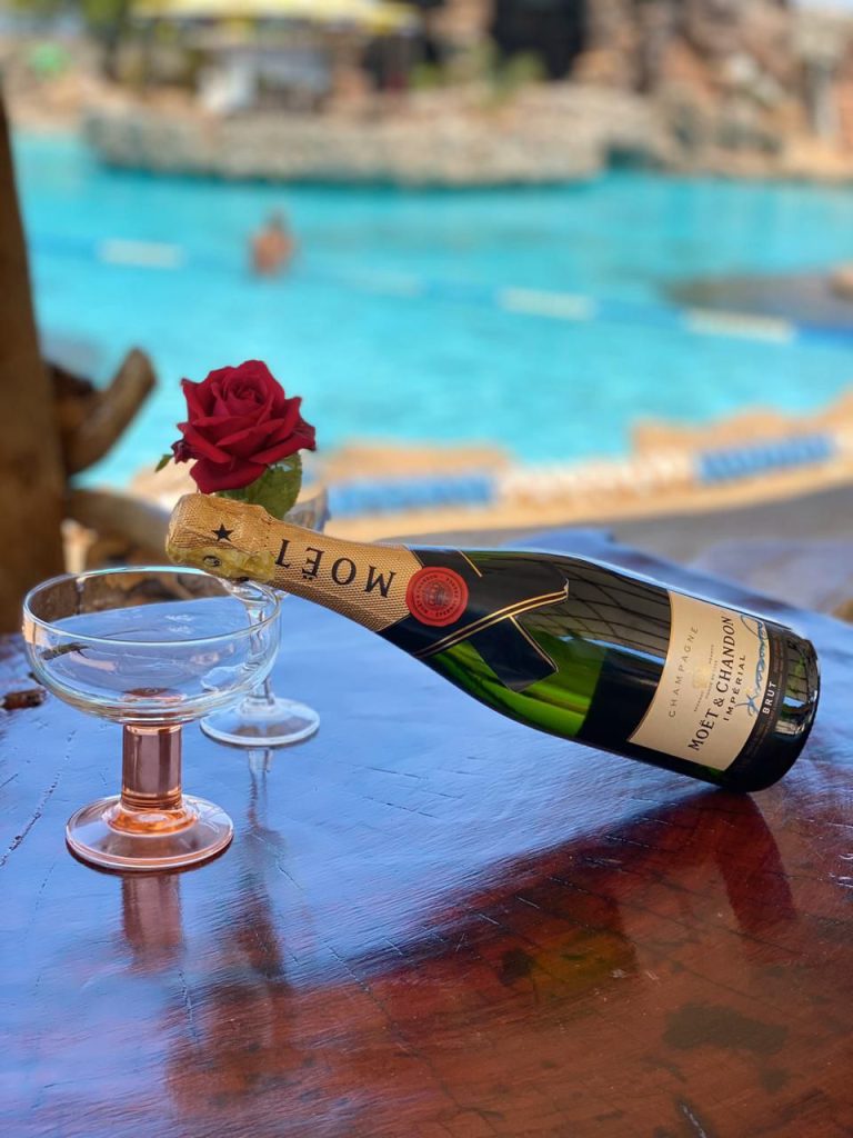 Dining – AfroSayari